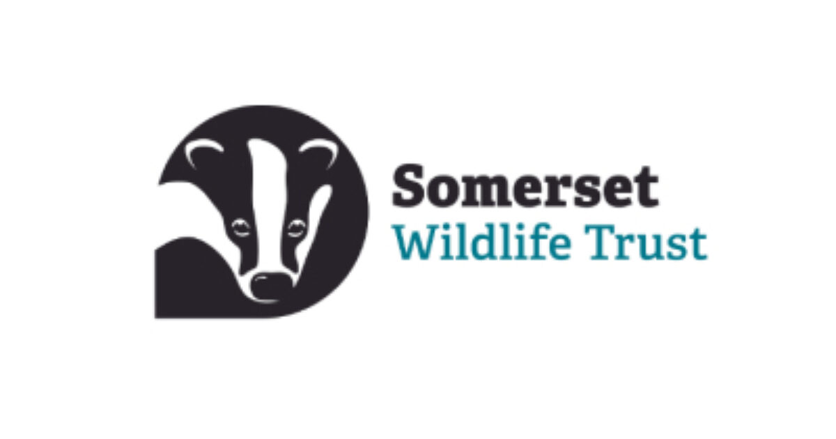 Somerset Wildlife Trust · Worthy Causes · Glastopedia
